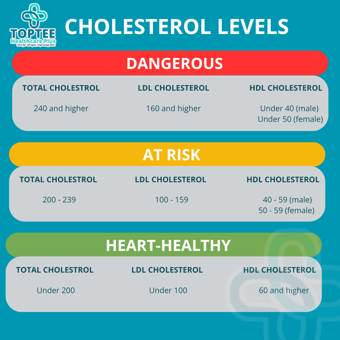 Understanding Cholesterol Levels | Toptee Medical Center